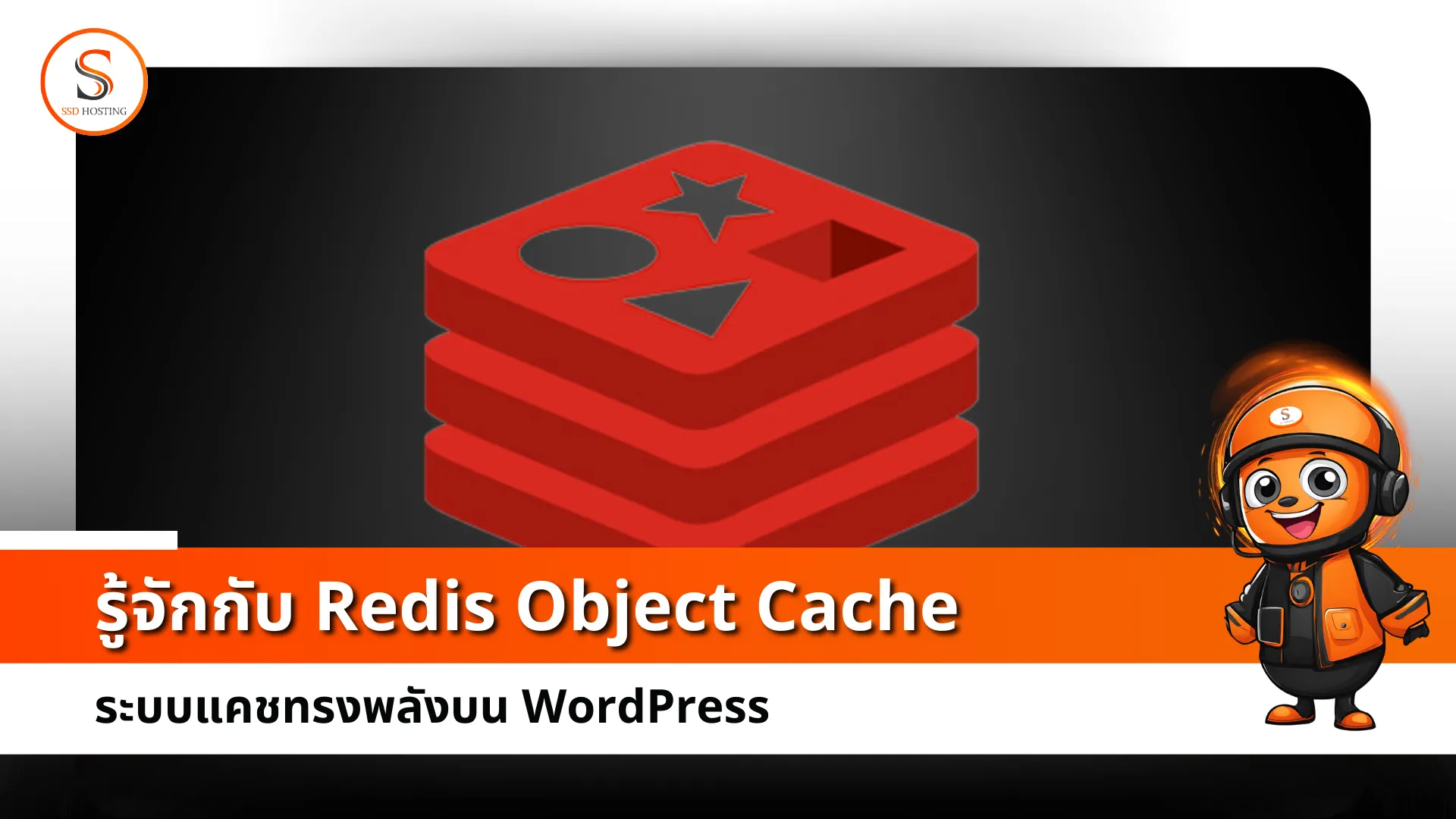 รู้จักกับ Redis Object Cache ระบบแคชทรงพลังบน WordPress • SSDHosting.in.th